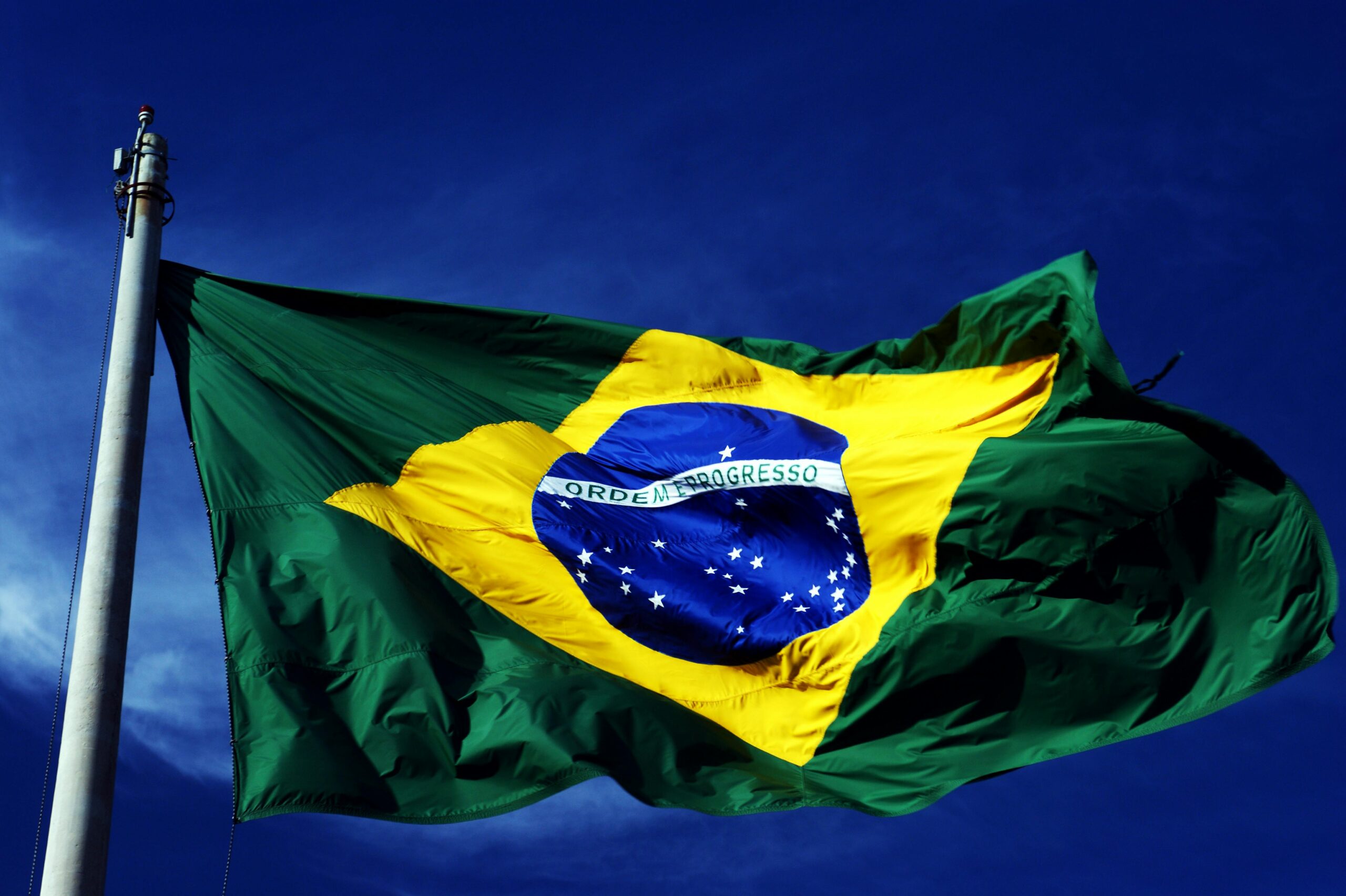 Obtaining Brazilian Nationality: Modalities and Constitutional Basis ...